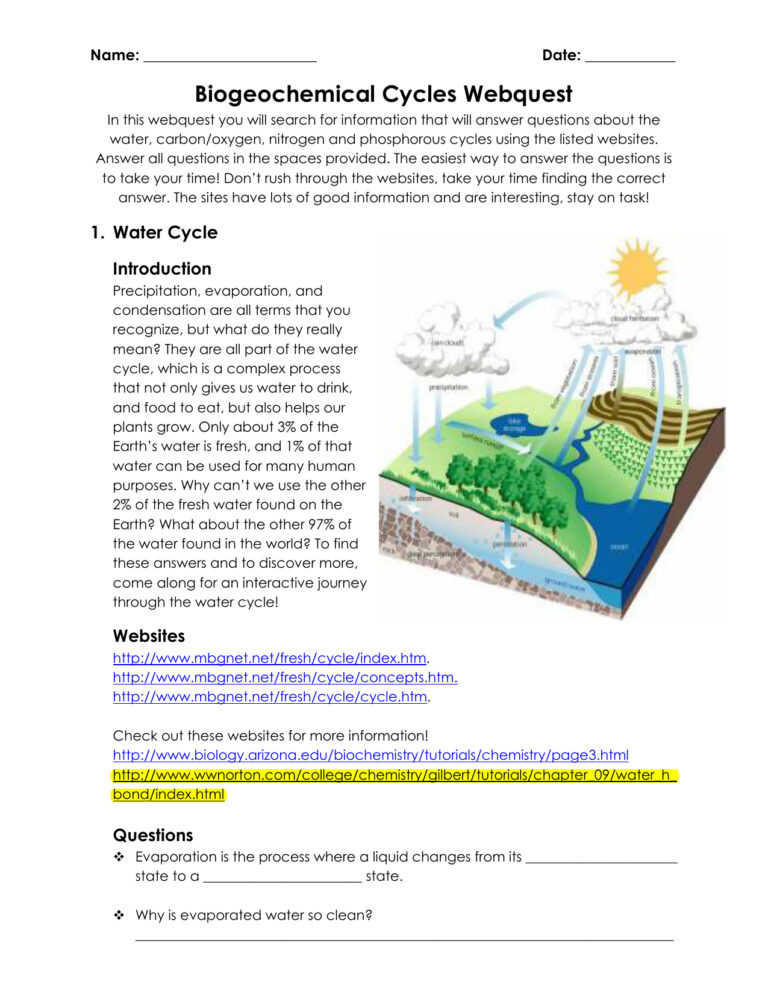 Biogeochemical Cycles Review Worksheet 23 – Printable PDF Template