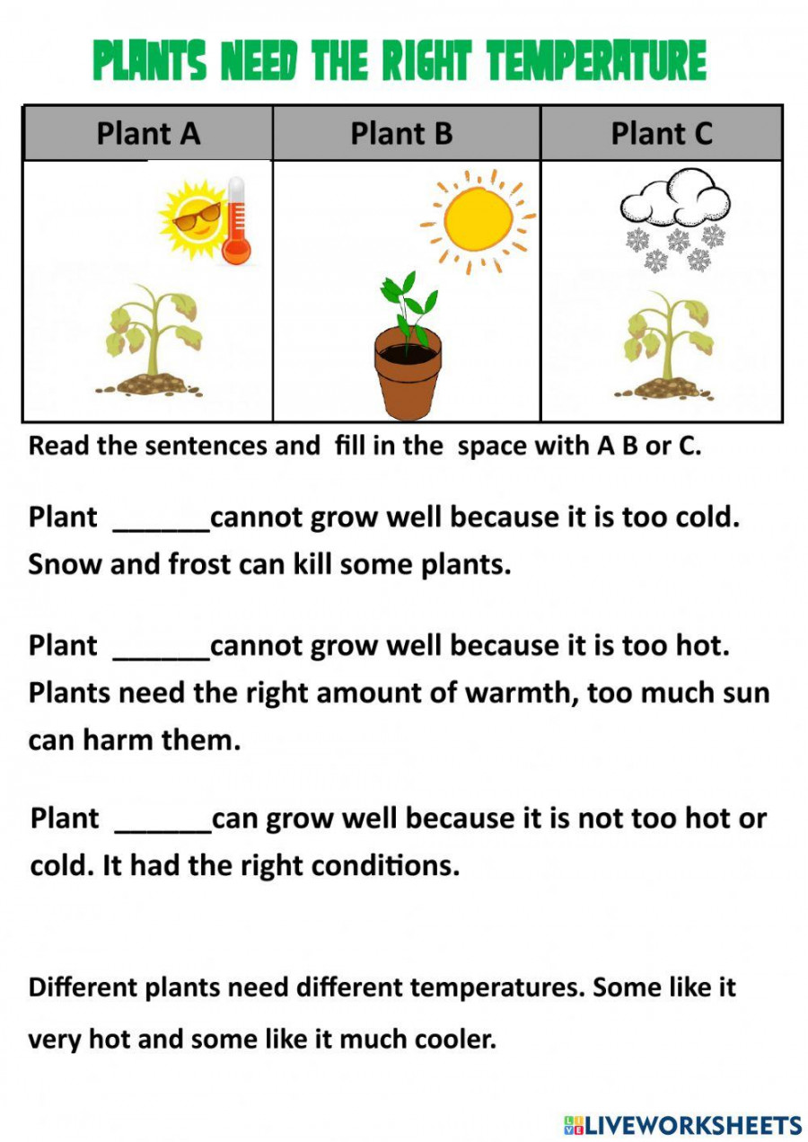 2nd Grade Science Worksheet Pdf Printable PDF Template
