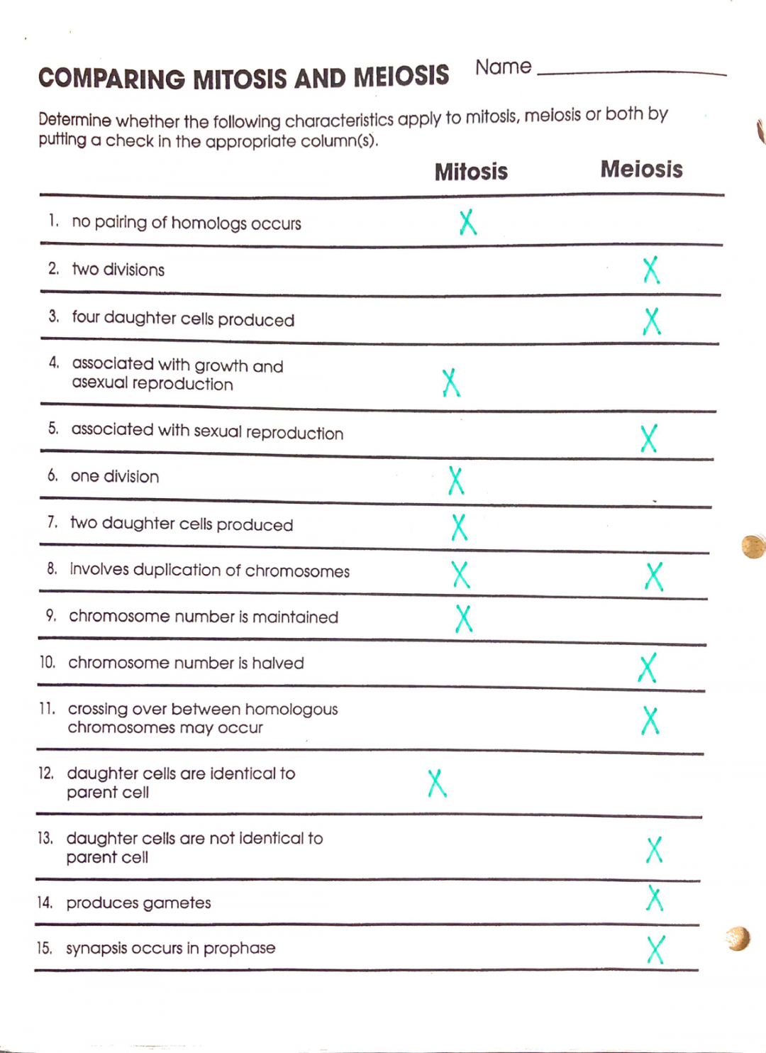 Comparing Mitosis And Meiosis Worksheet Printable PDF Template