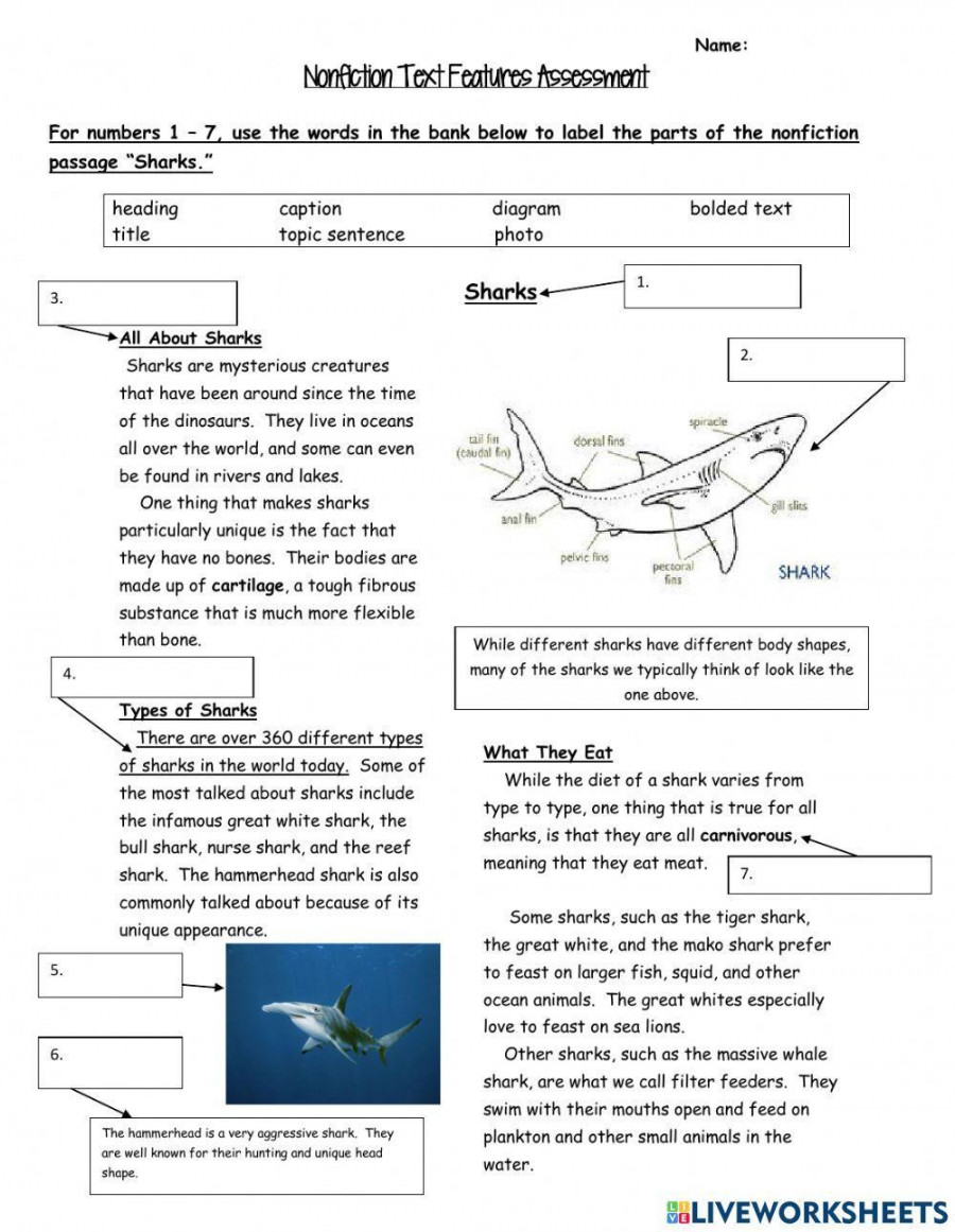 Text Features Worksheet 3rd Grade Printable PDF Template Text Features Worksheet 3rd Grade Printable PDF Template