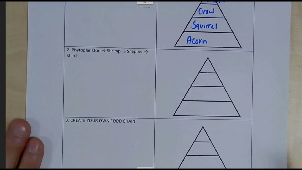 Energy Pyramid Practice Worksheet Answer Key Printable PDF Template Energy Pyramid Practice Worksheet Answer Key Printable PDF Template